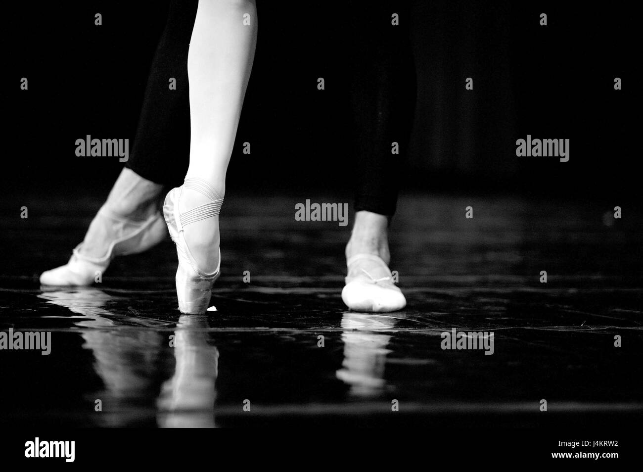 Ballet dancers, detail, bones, top dance, s/w ballet, women, woman ...