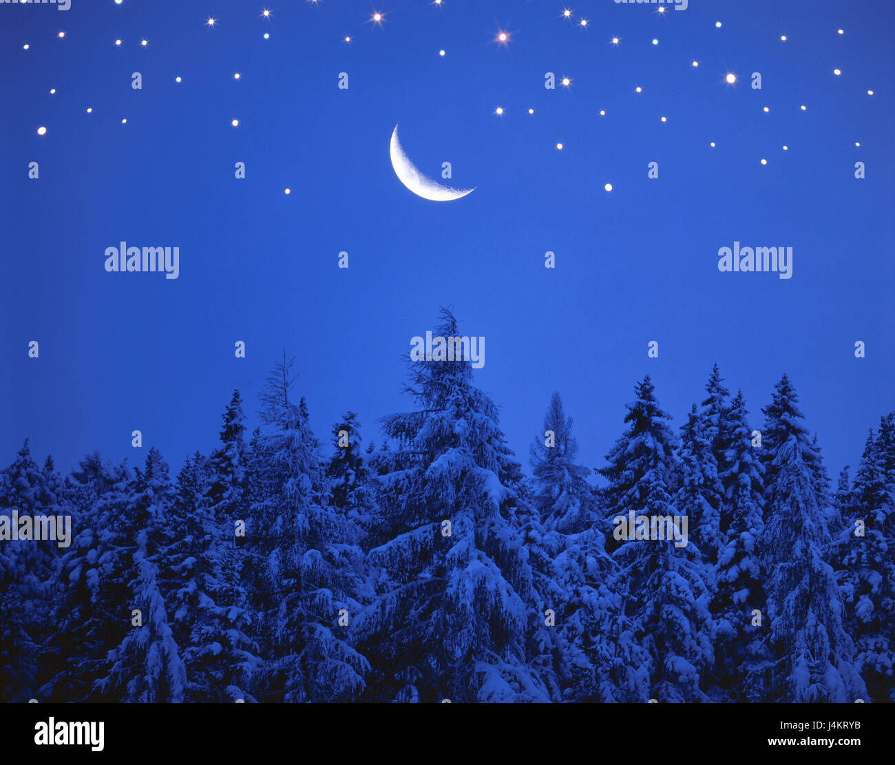 Starry conifers hi-res stock photography and images - Alamy