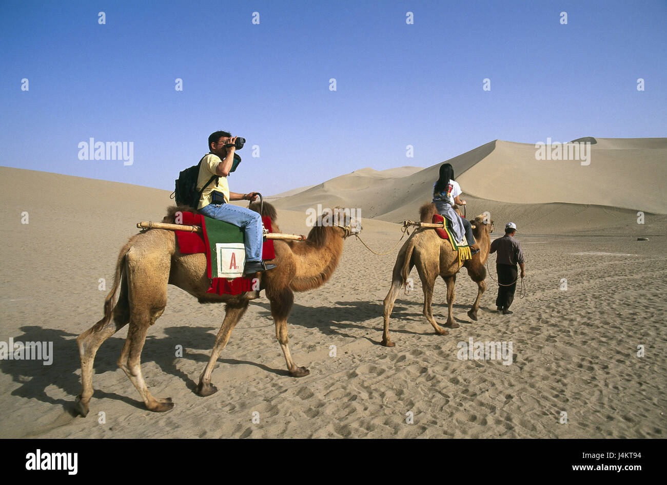 China, Gansu province, Dunhuang, Mount Mingshan, desert, camel caravan ...