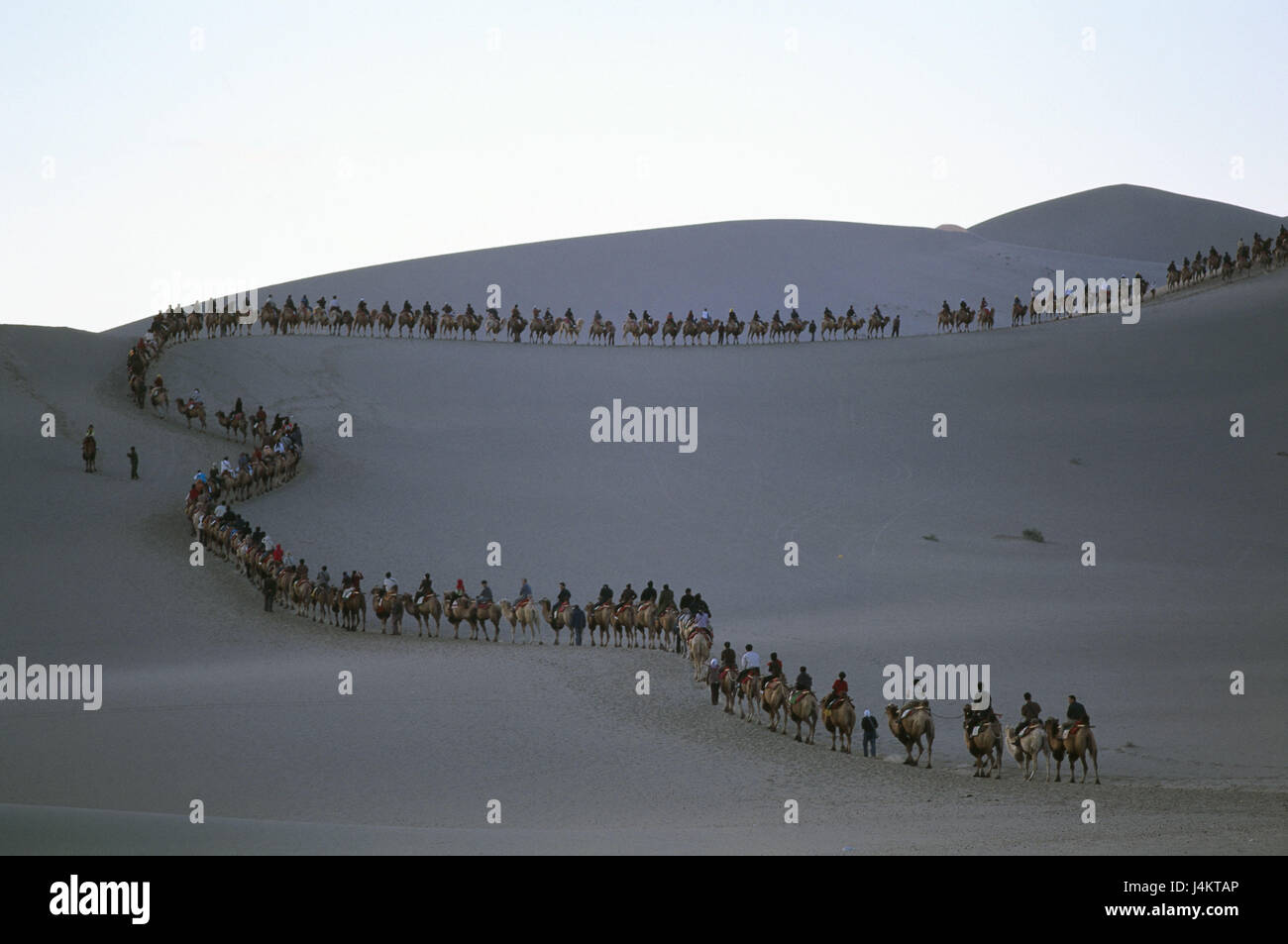China, Gansu province, Dunhuang, Mount Mingshan, desert, camel caravan ...