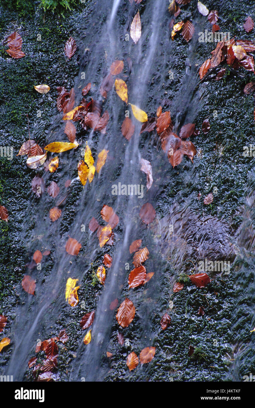 Rocks, water, flow, autumn foliage mountain brook, brook, waterfall ...