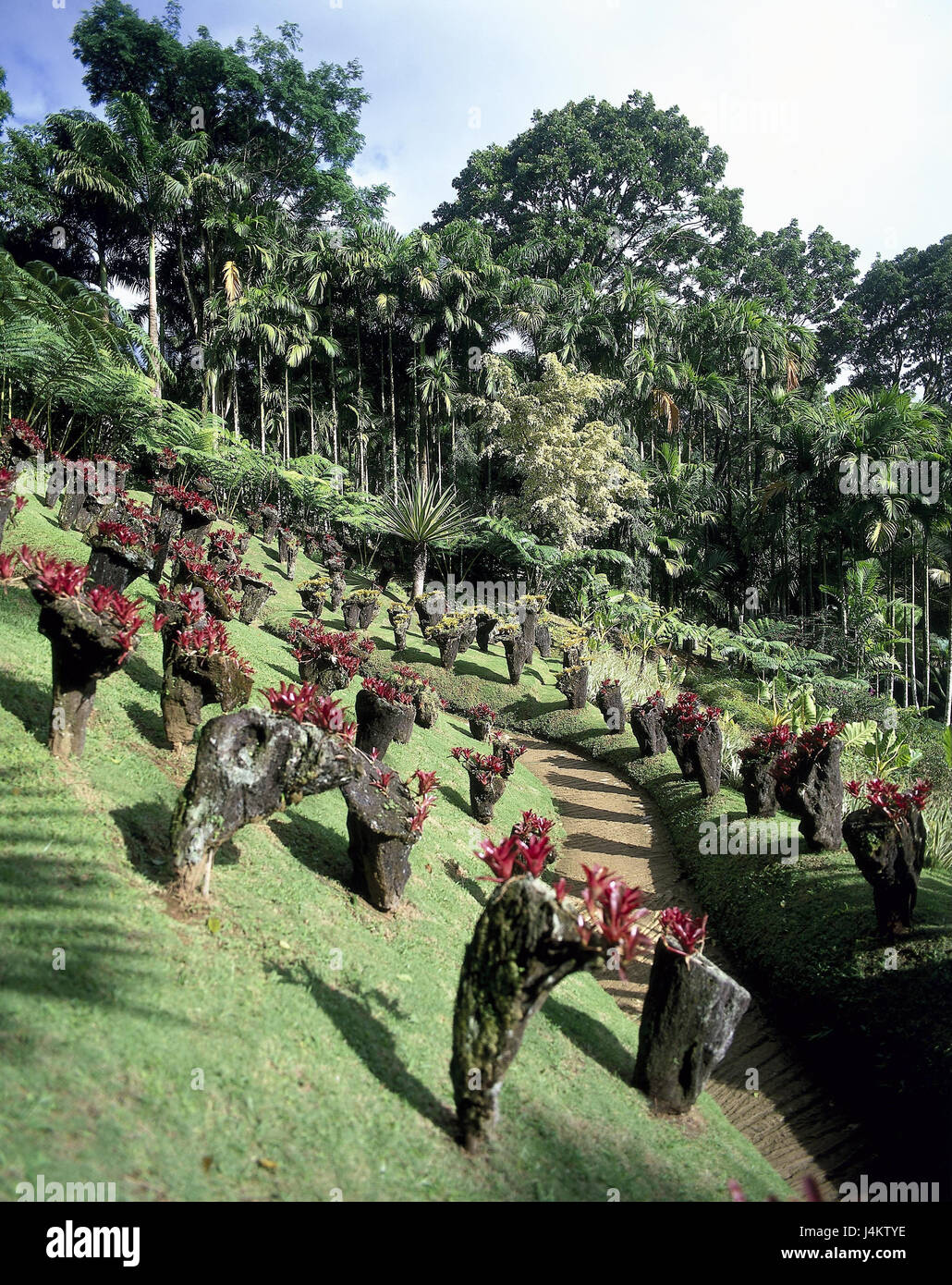 The Caribbean, to the small Antilles, island Martinique, fort de France ...