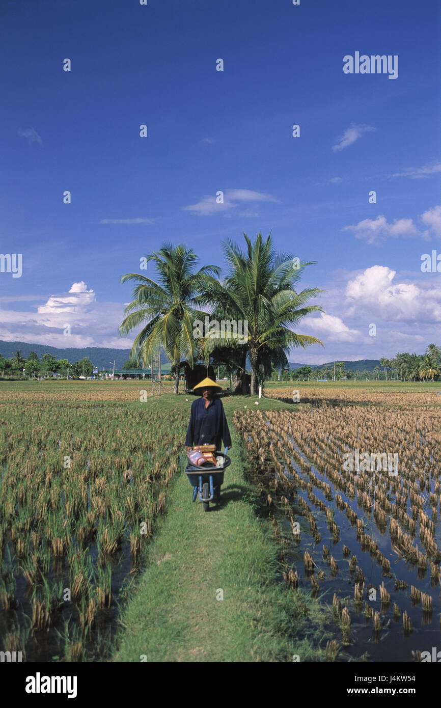 Malaysia, Langkawi, travel museum, Laman Padi Rice museum, worker ...