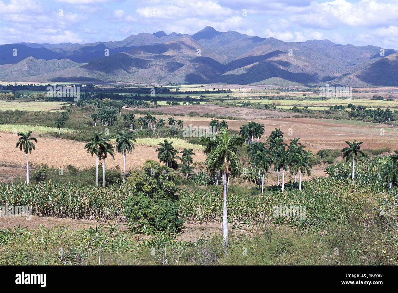 Cuba, Sancti spirit, Valle de off Ingenios, fields, palms, mountain ...