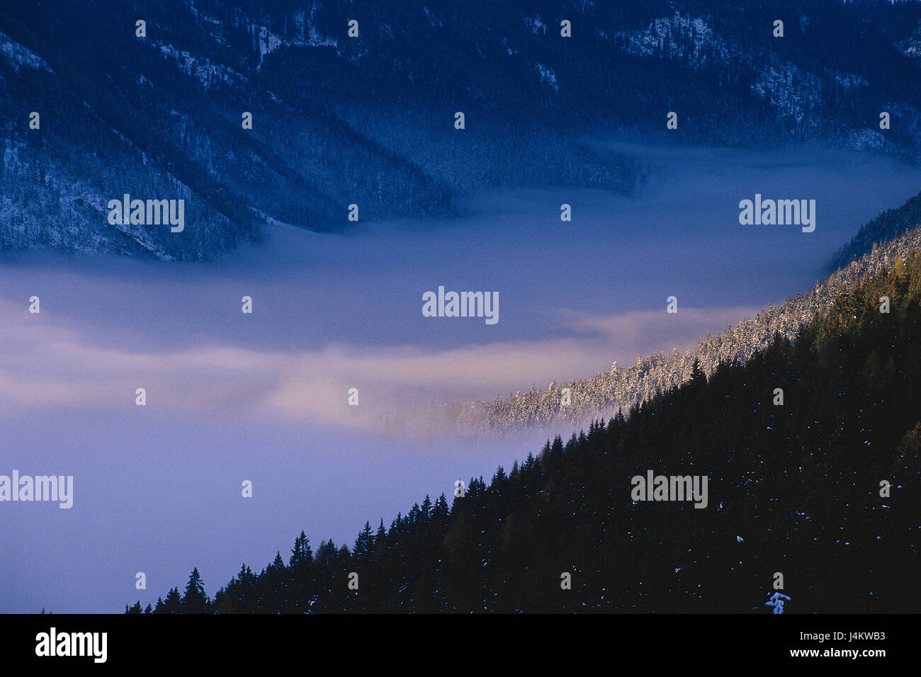 Mountains, valley view, wood, nebulous sea, winter mountain, view ...