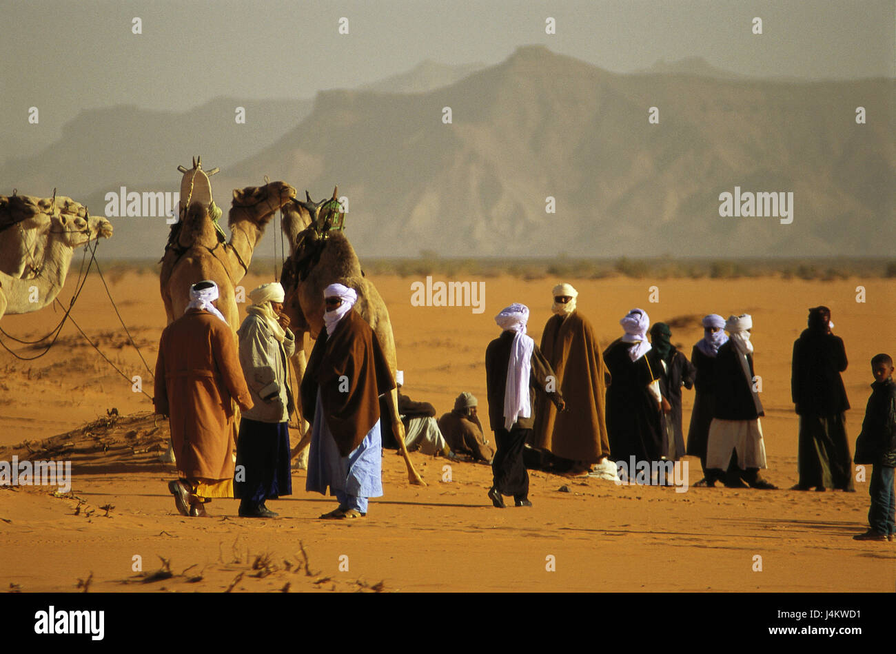 Libya, desert Sahara, region of Fessan, Ghat, Tuareg festival, men, Tuareg, camels, no model ...