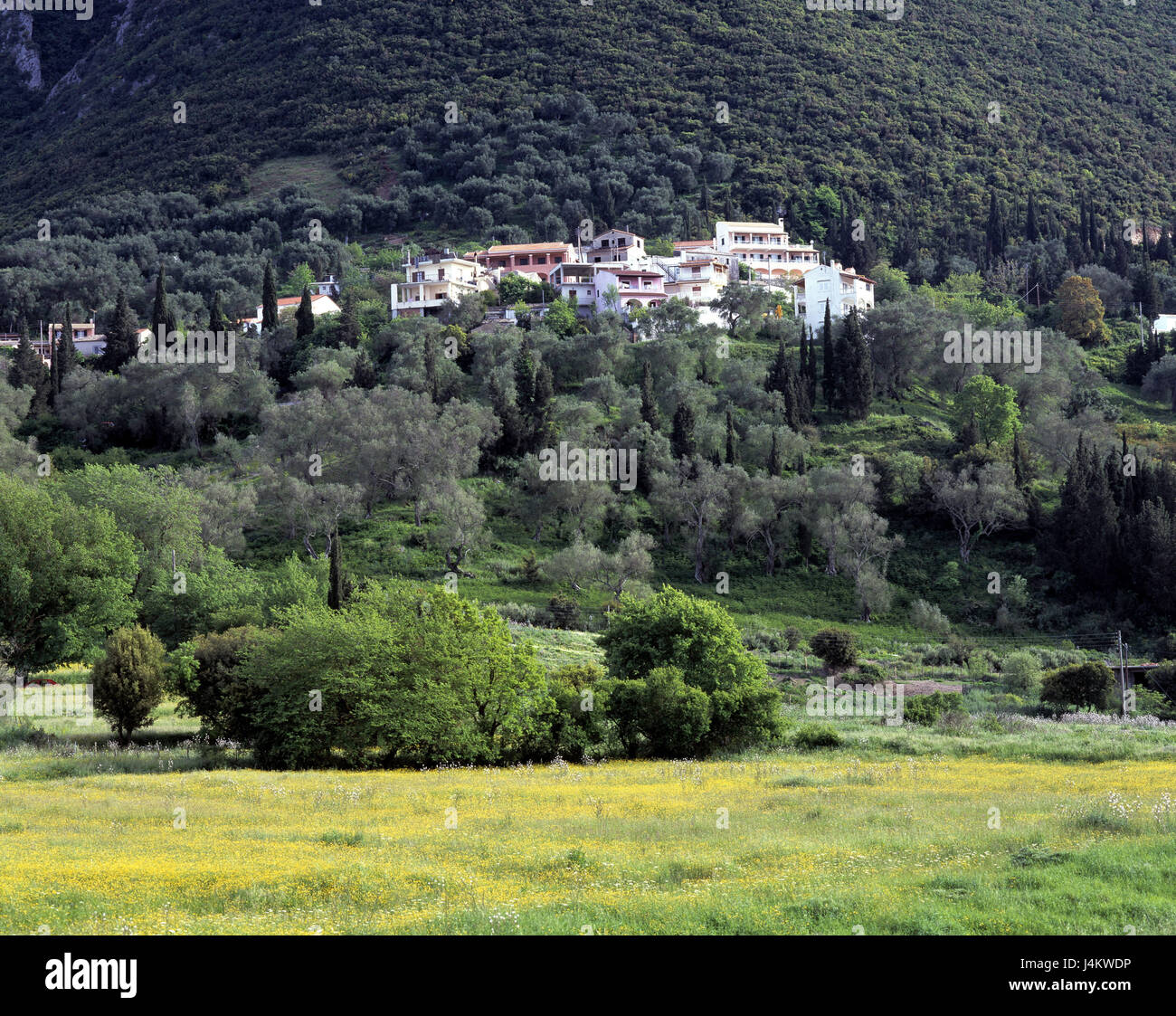 Greece, Corfu, Ermones, local view Europe, Ionian islands, island ...