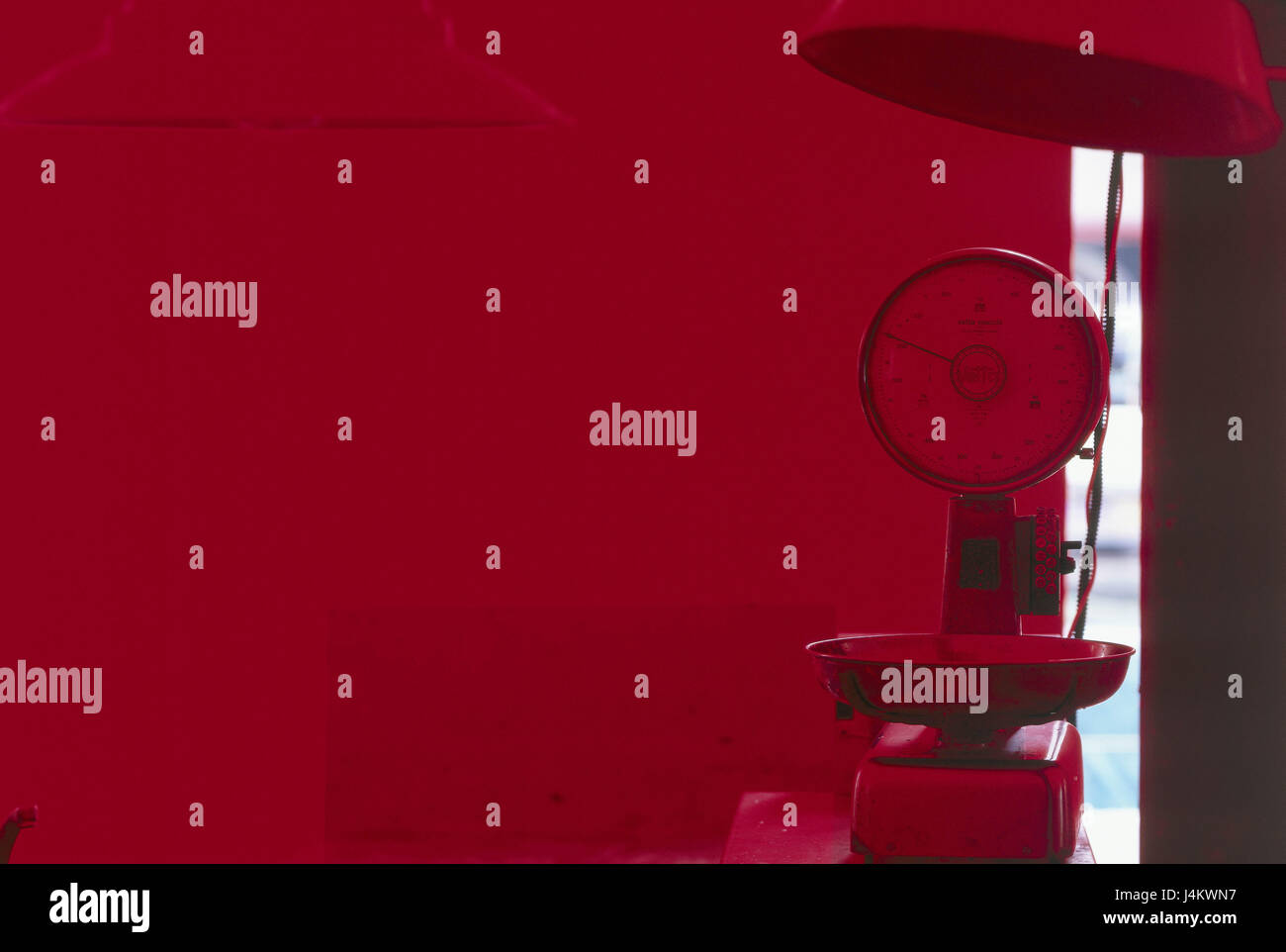 Food scales scales, display, weight display, by hand, weigh, weigh out ...