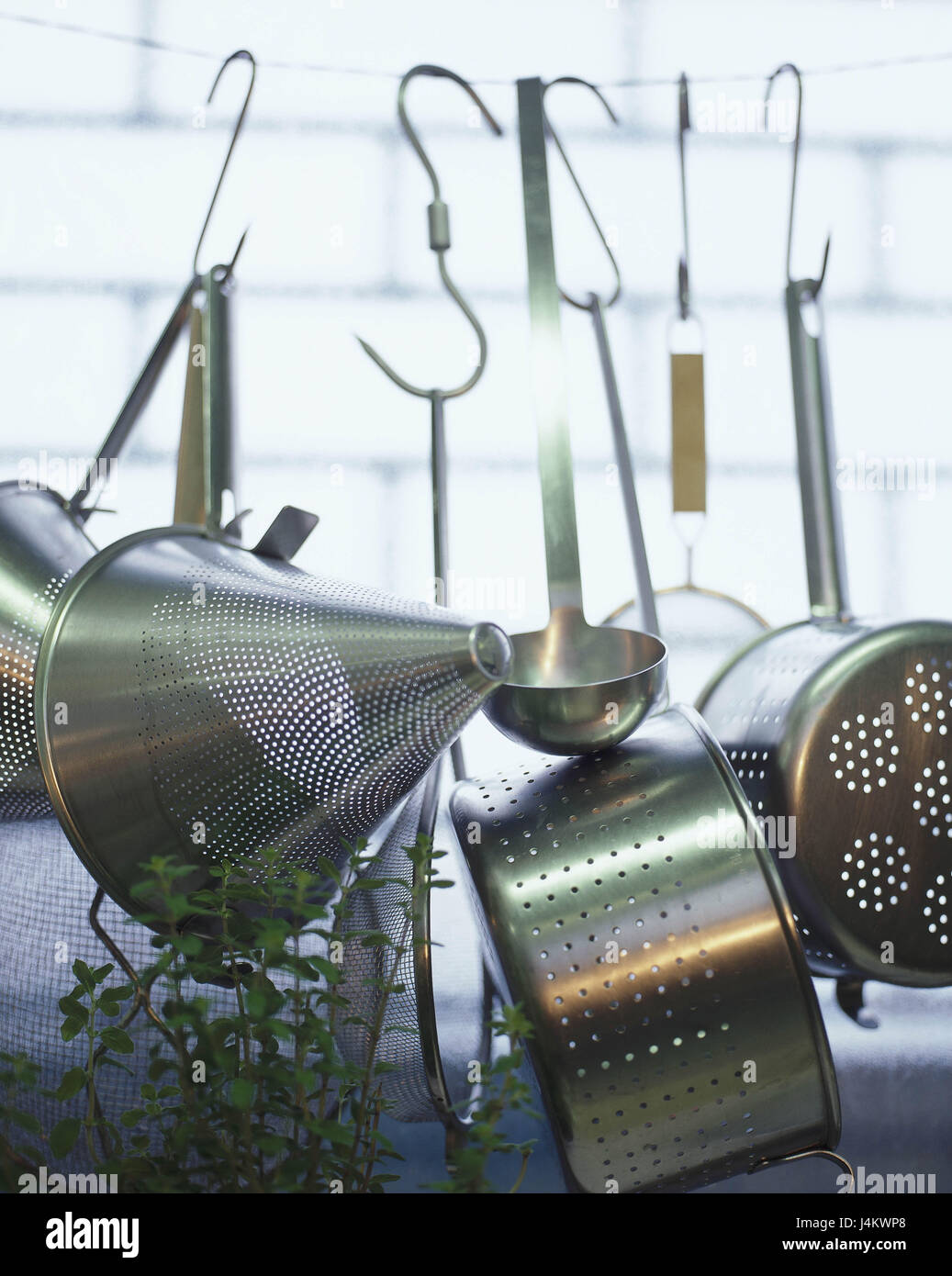 Culinary implements, culinary sieves, differently, oregano still life ...