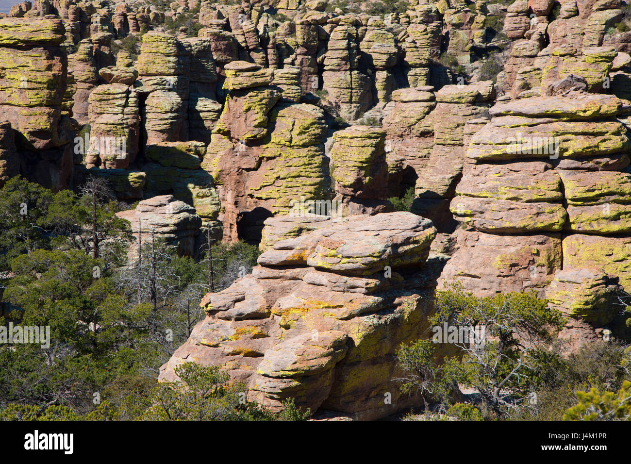 Rock pinnacles from Echo Canyon Loop Trail, Chiricahua National ...