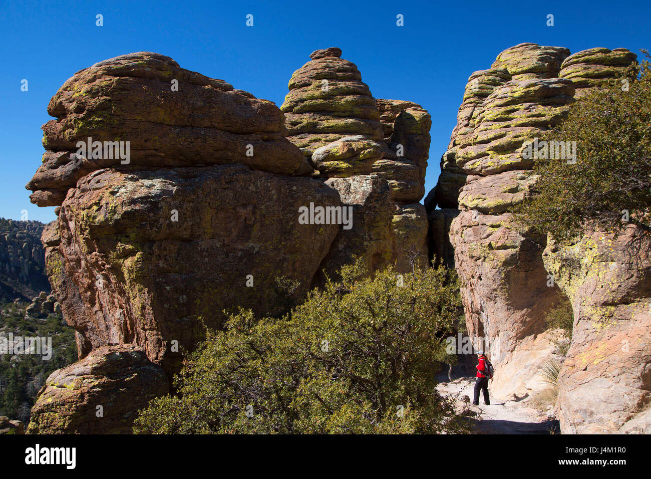 Rock pinnacles from Echo Canyon Loop Trail, Chiricahua National ...
