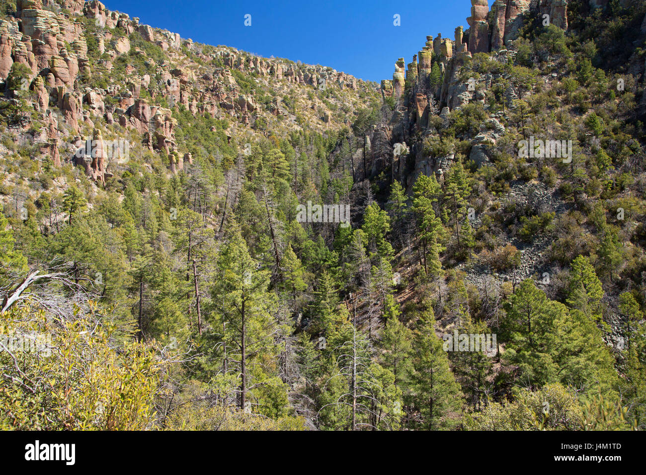View from Echo Canyon Loop Trail, Chiricahua National Monument, Arizona ...