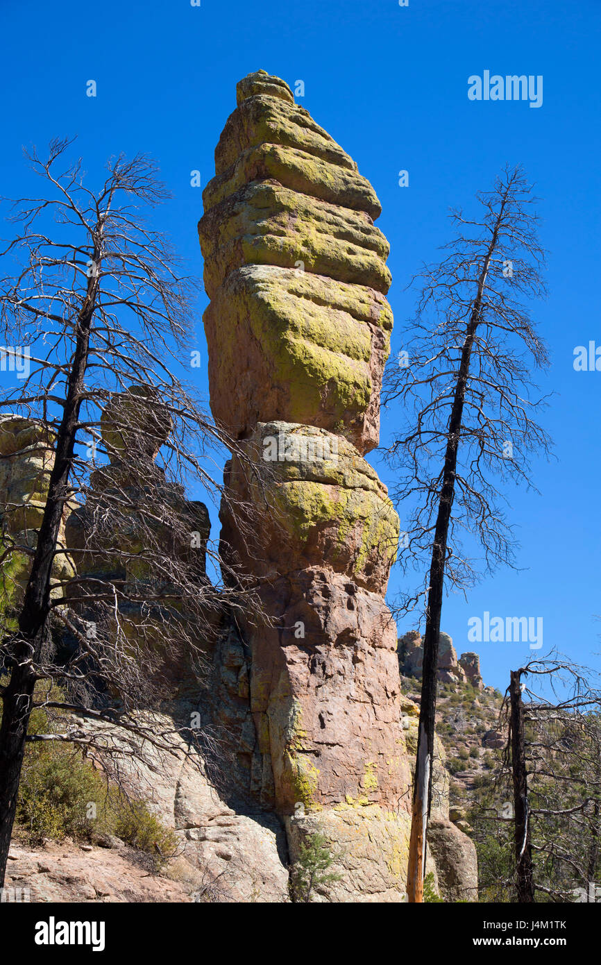 Rock pinnacles from Echo Canyon Loop Trail, Chiricahua National ...