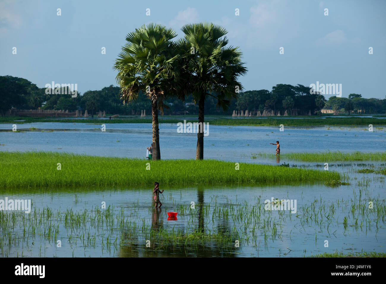 A landscape view of rural area in Gopalganj, Bangladesh Stock Photo - Alamy