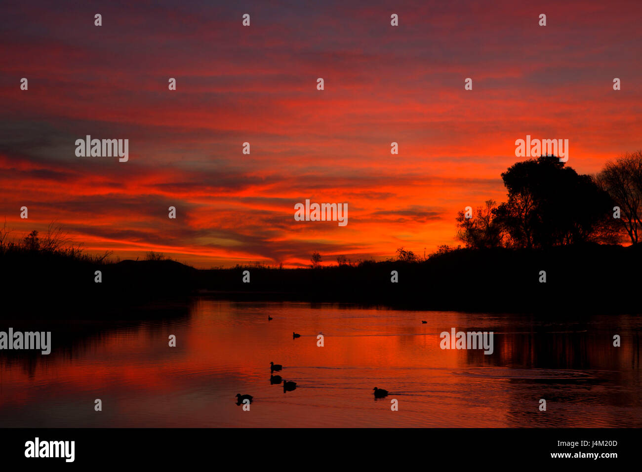 Mittry Lake sunrise, Betty's Kitchen Wildlife and Interpretive Area ...