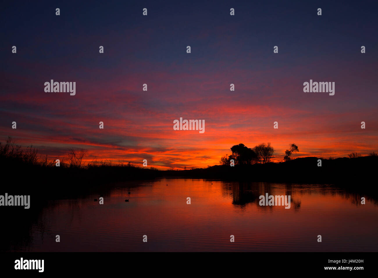 Mittry Lake sunrise, Betty's Kitchen Wildlife and Interpretive Area ...