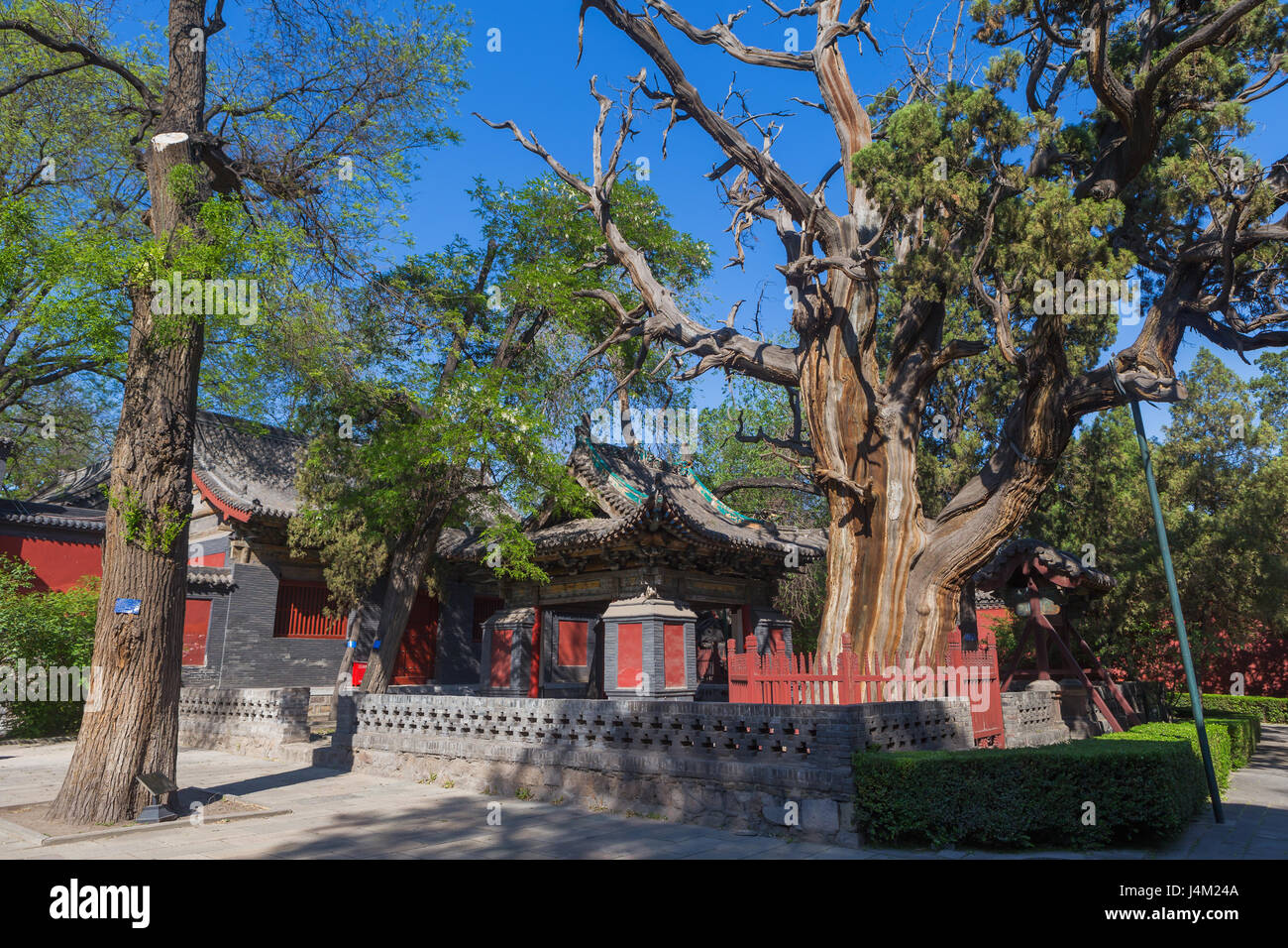 Jinci temple hi-res stock photography and images - Alamy