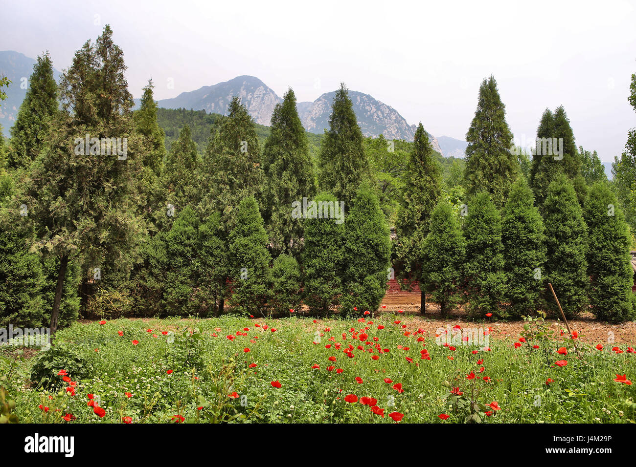 Landscape near Songshan mountain, Henan, China Stock Photo - Alamy