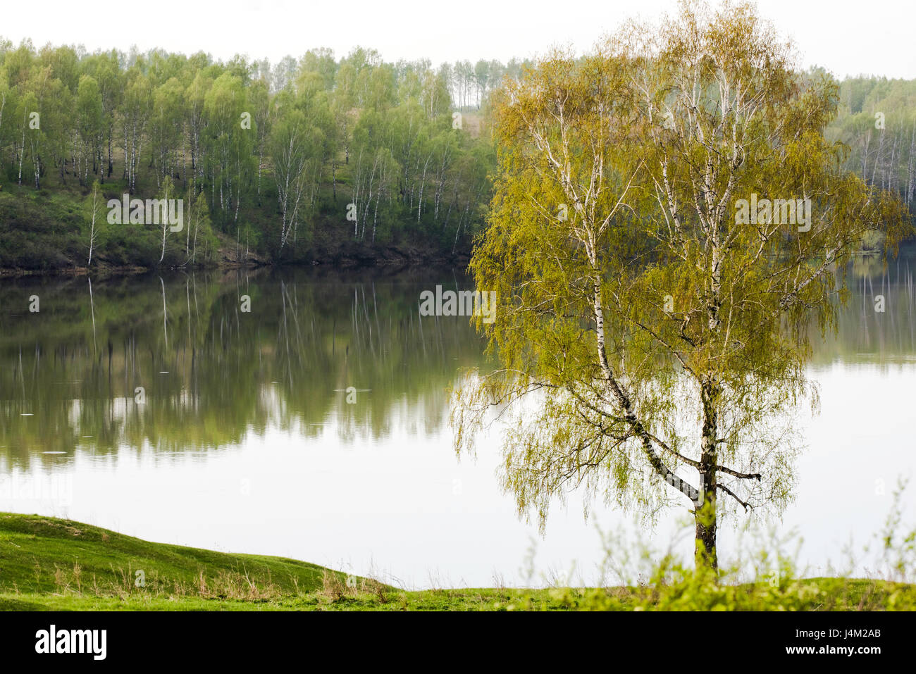 Morning spring landscape on the lake. Siberia, Russia, Novosibirsk ...