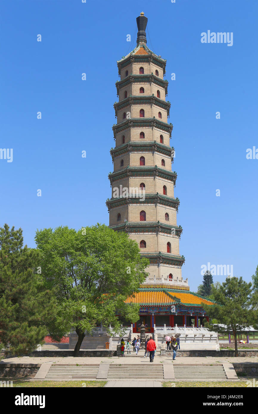 Sheli hi-res stock photography and images - Alamy