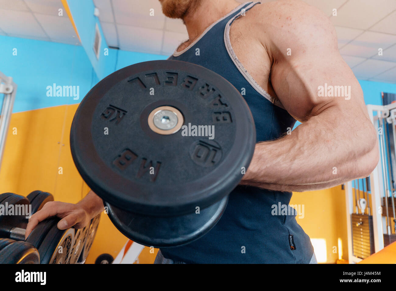 Male powerful biceps close-up. gym. Bodybuilder. A beautiful, inflated ...