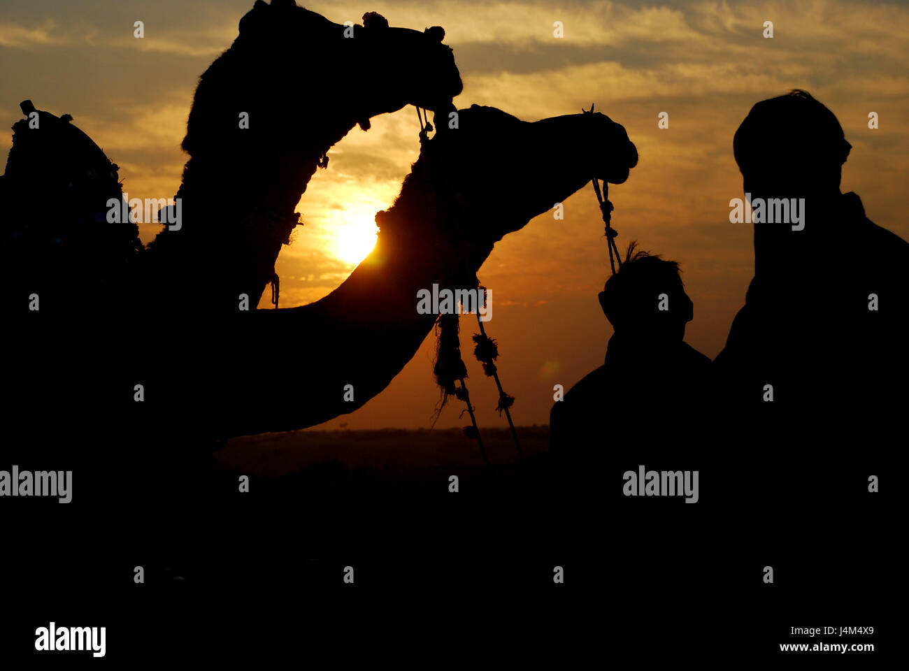 Silhouette of nature hi-res stock photography and images - Alamy