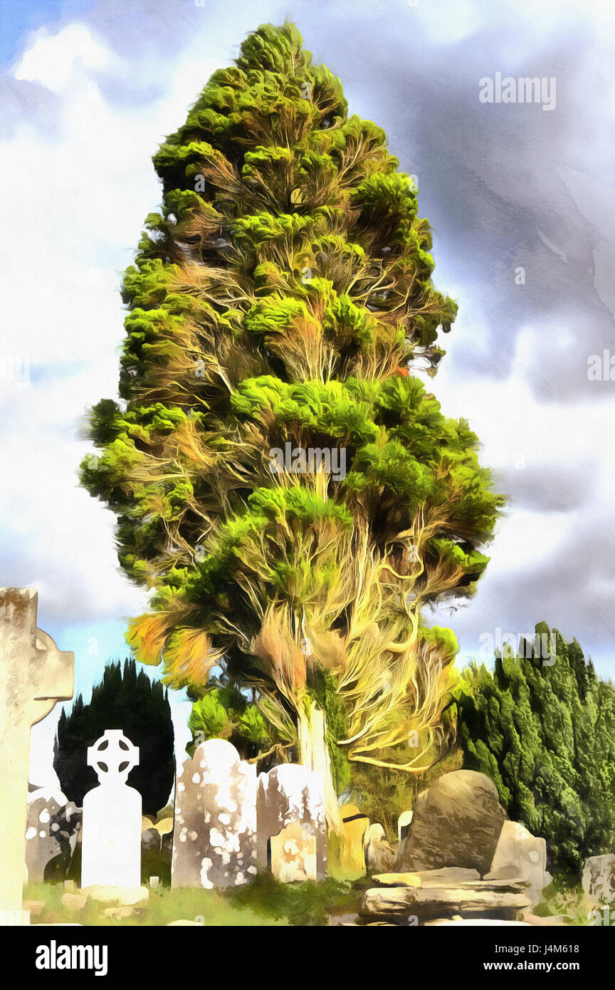 Colorful painting of cypress tree with old cemetery irish crosses on ...
