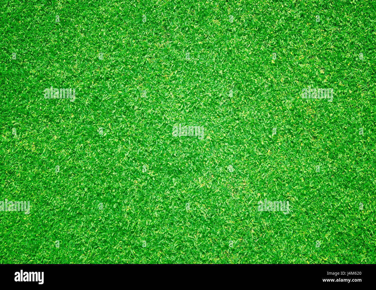 grass background Golf Courses green lawn pattern textured background ...