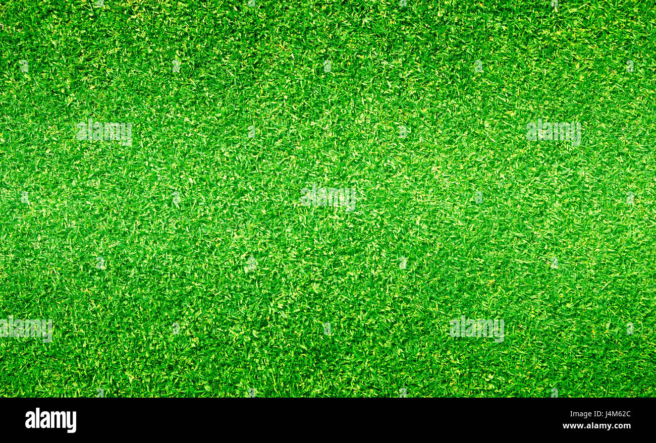 grass background Golf Courses green lawn pattern textured background ...