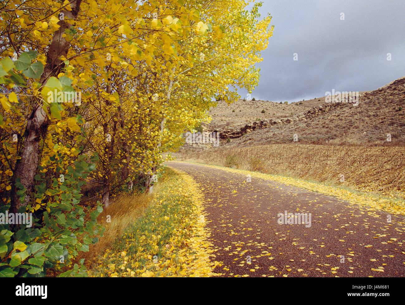 Side road and autumn landscape. Mesa valley, Guadalajara province ...