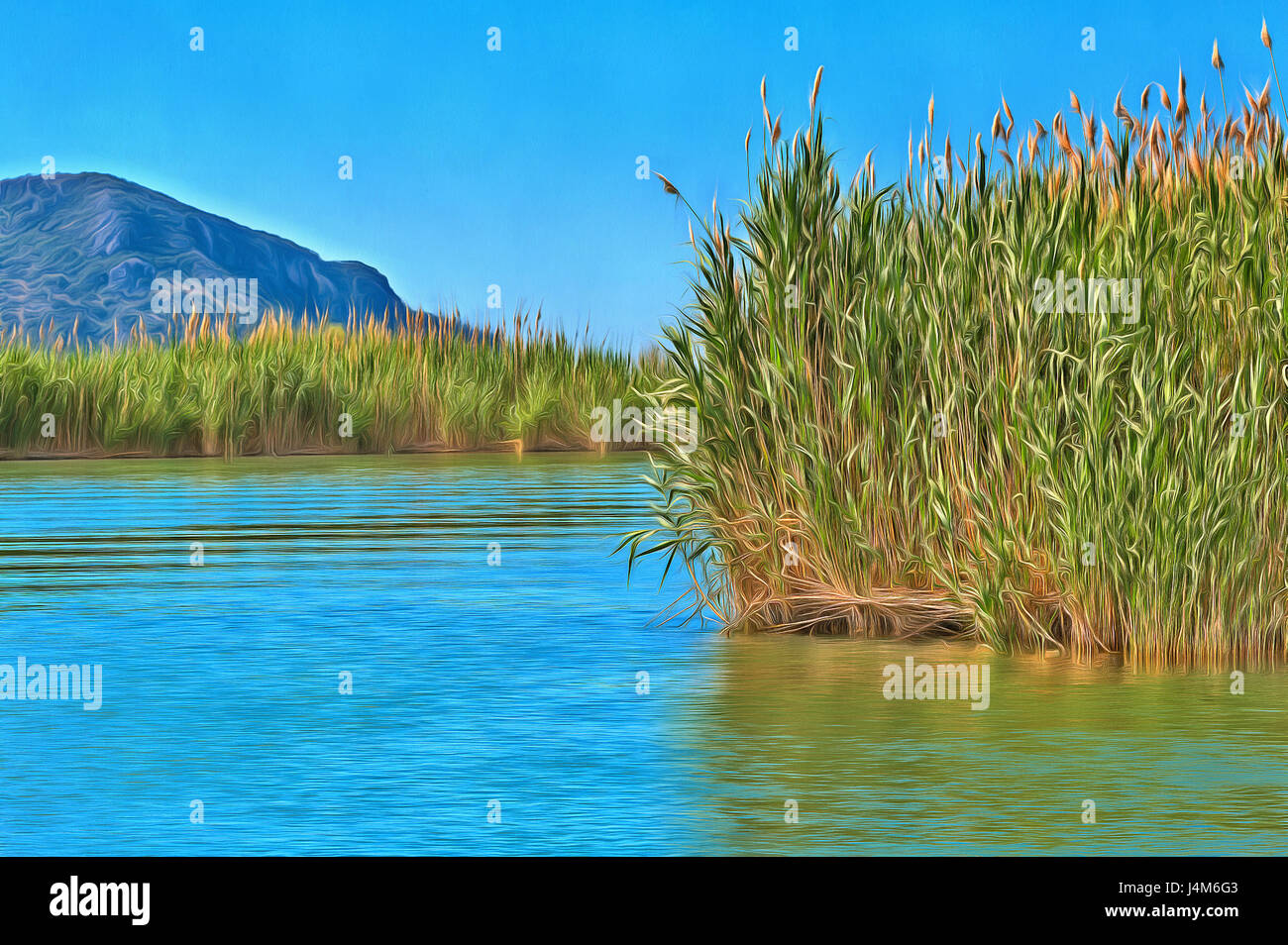 Colorful painting of nature with lake water and reed Stock Photo - Alamy