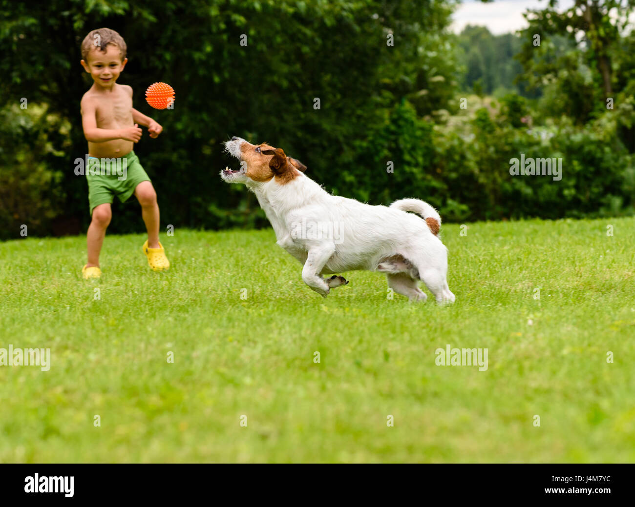 Small child boy playing with dog toss, catch and fetch game Stock Photo ...