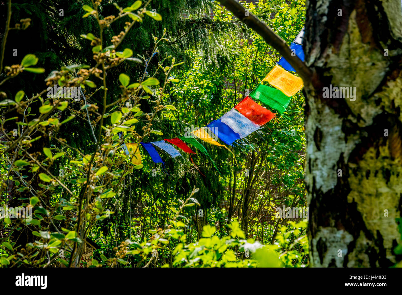 colorful small flags inside an European Garden at spring time Stock ...