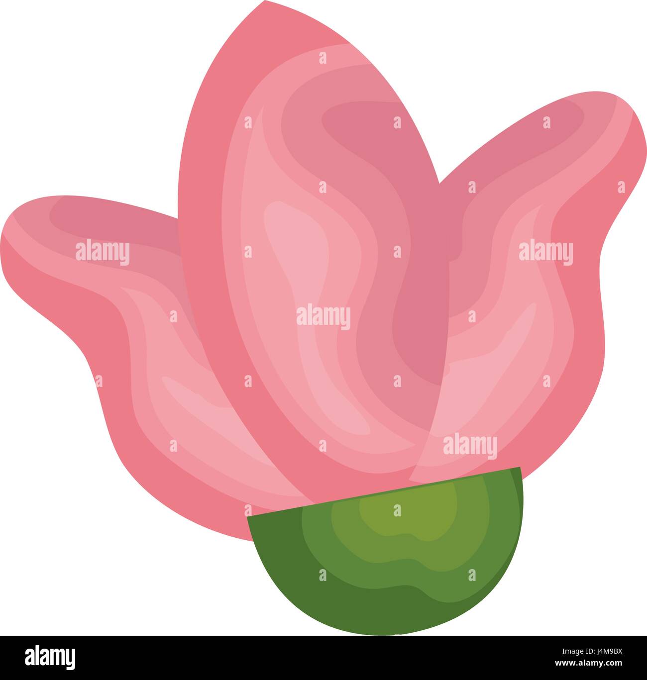 beautiful Flower decoration icon Stock Vector Image & Art - Alamy