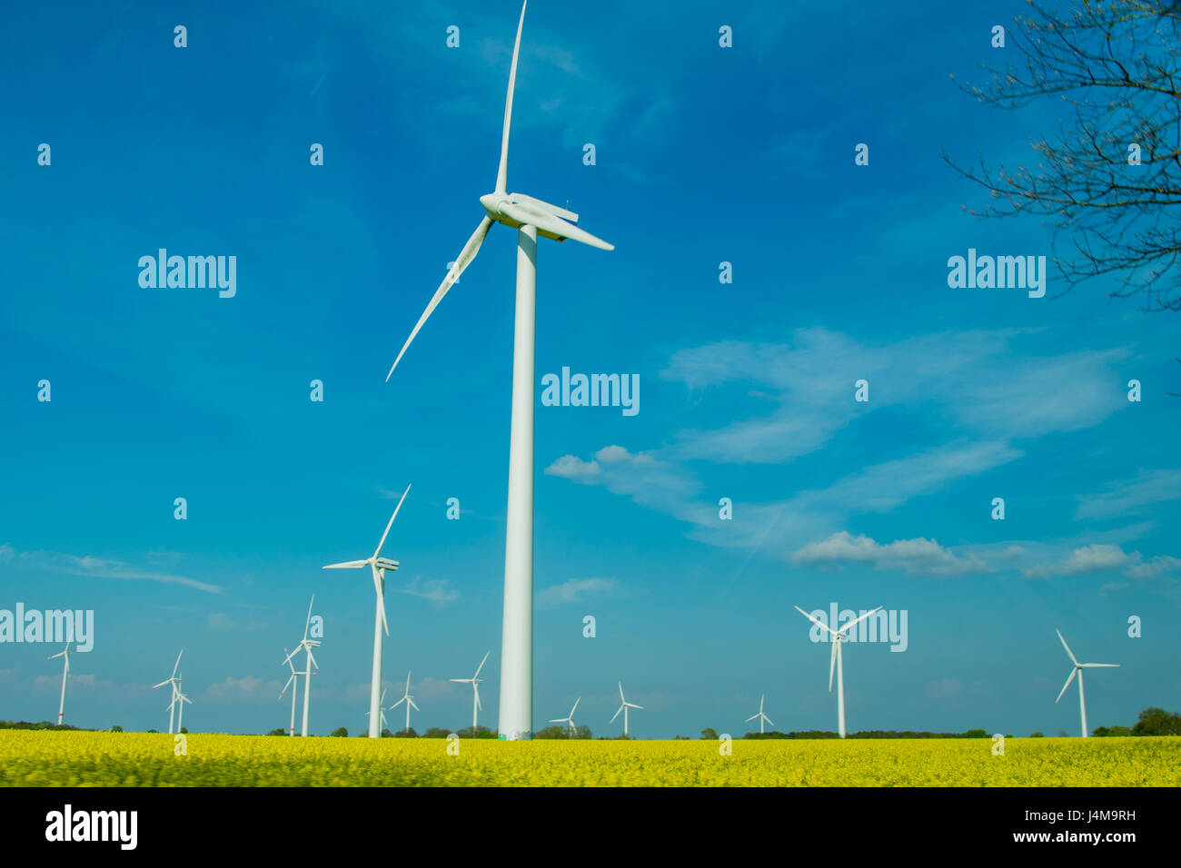 beautiful view with natural colors and windmills Stock Photo - Alamy