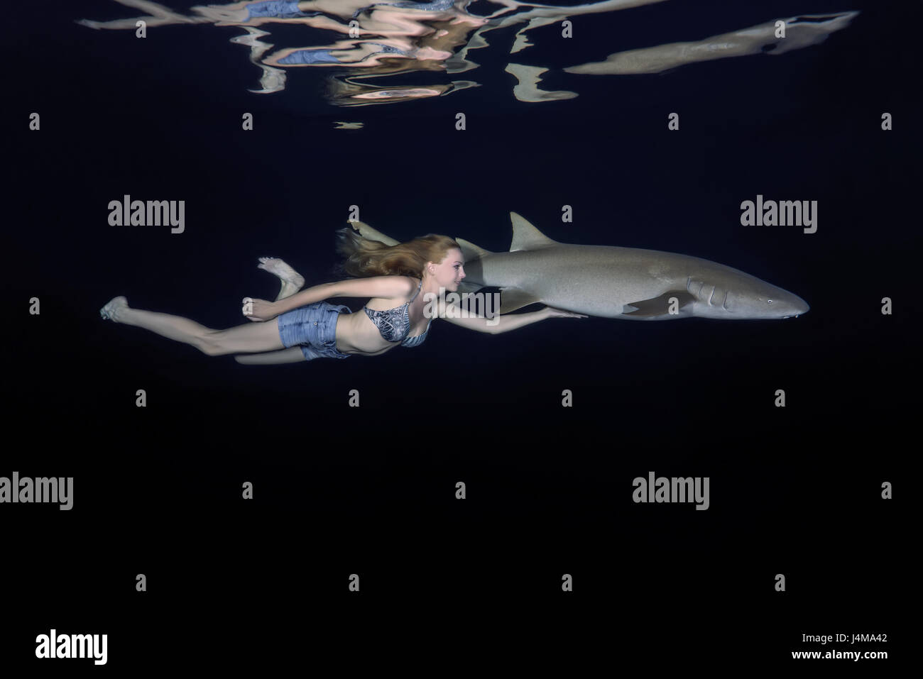 Maldives shark hi-res stock photography and images - Alamy