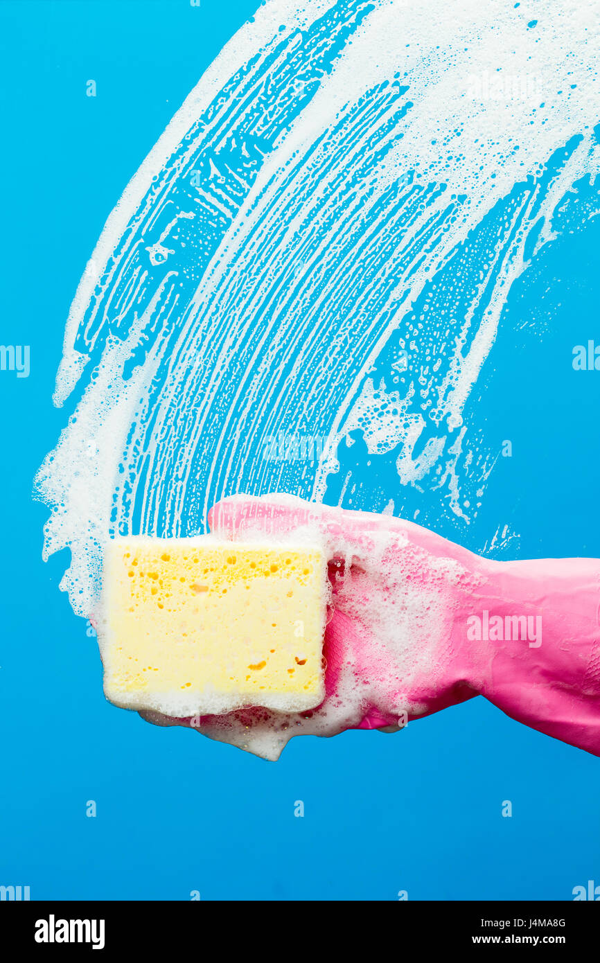 Professional window cleaner with sponge Stock Photo - Alamy