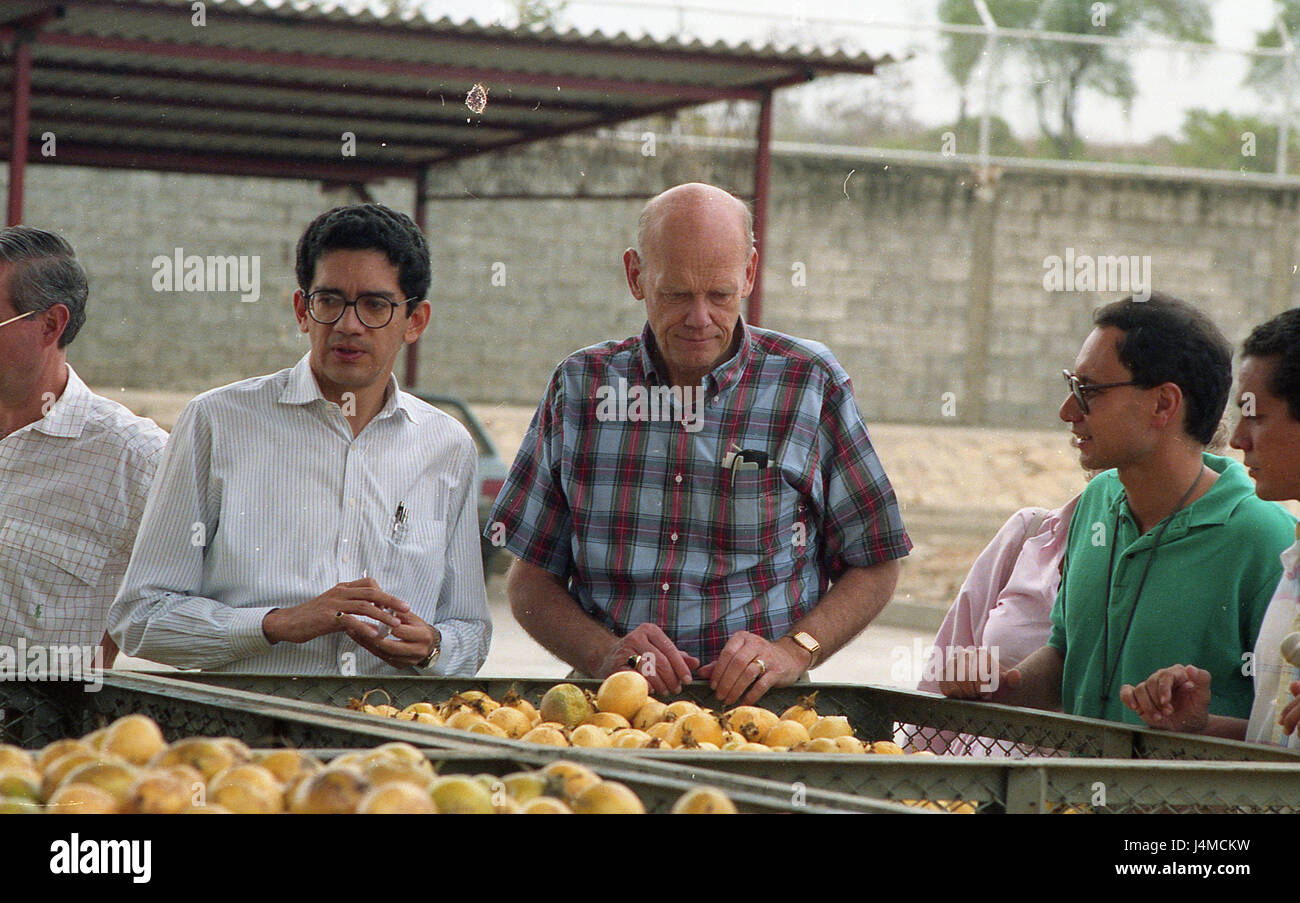men looking at food in crates Stock Photo - Alamy