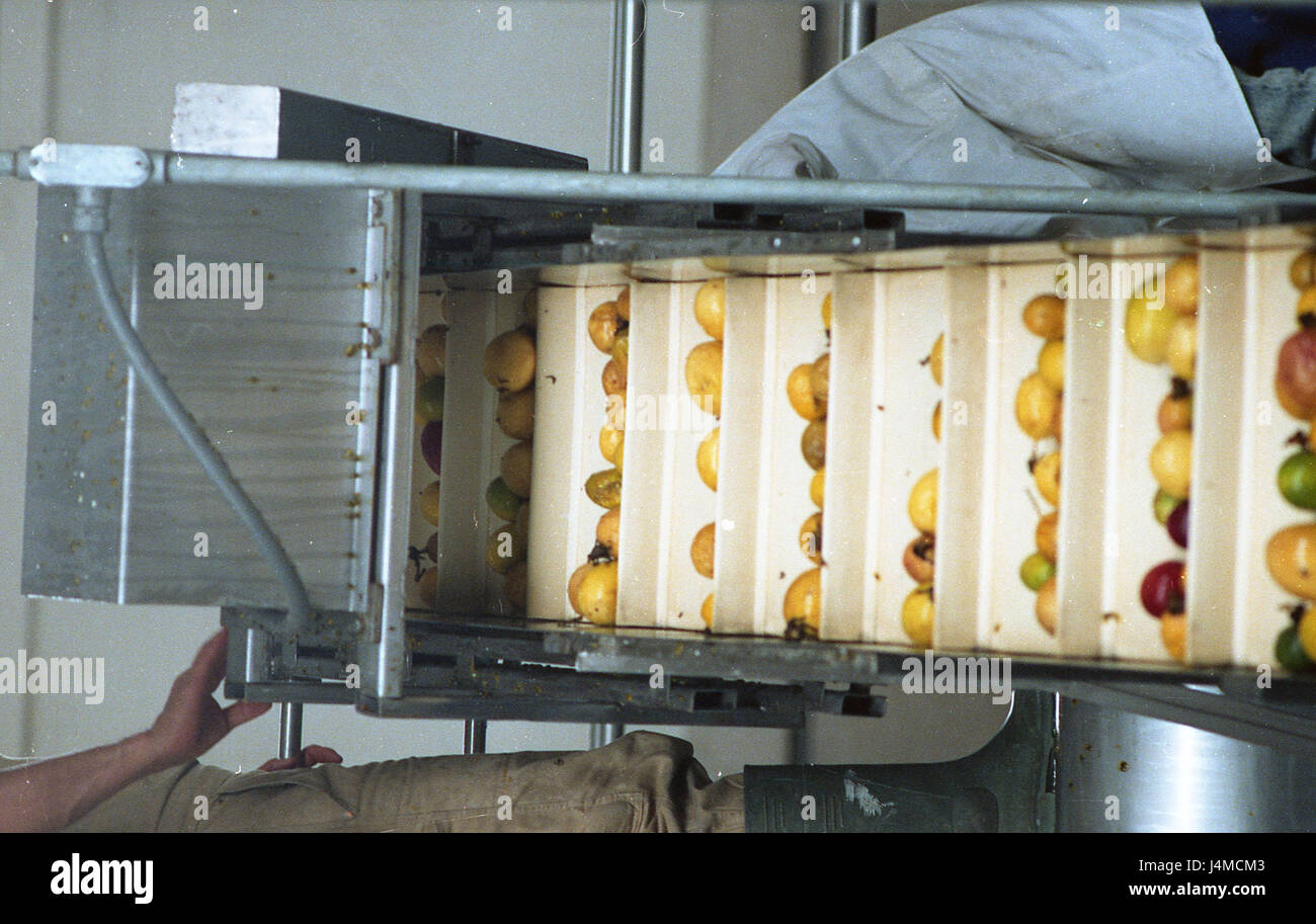 picture of food in machine Stock Photo - Alamy