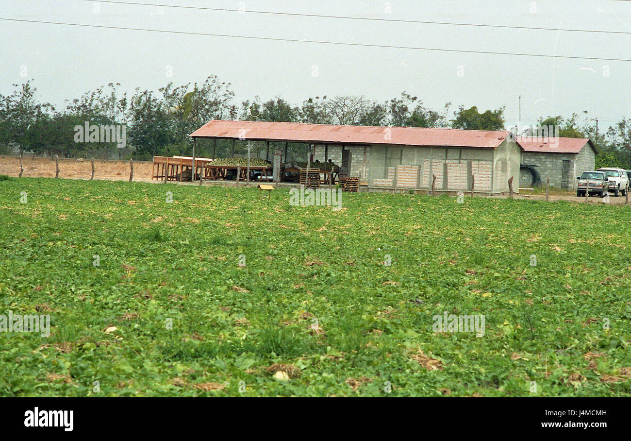 house and land Stock Photo - Alamy