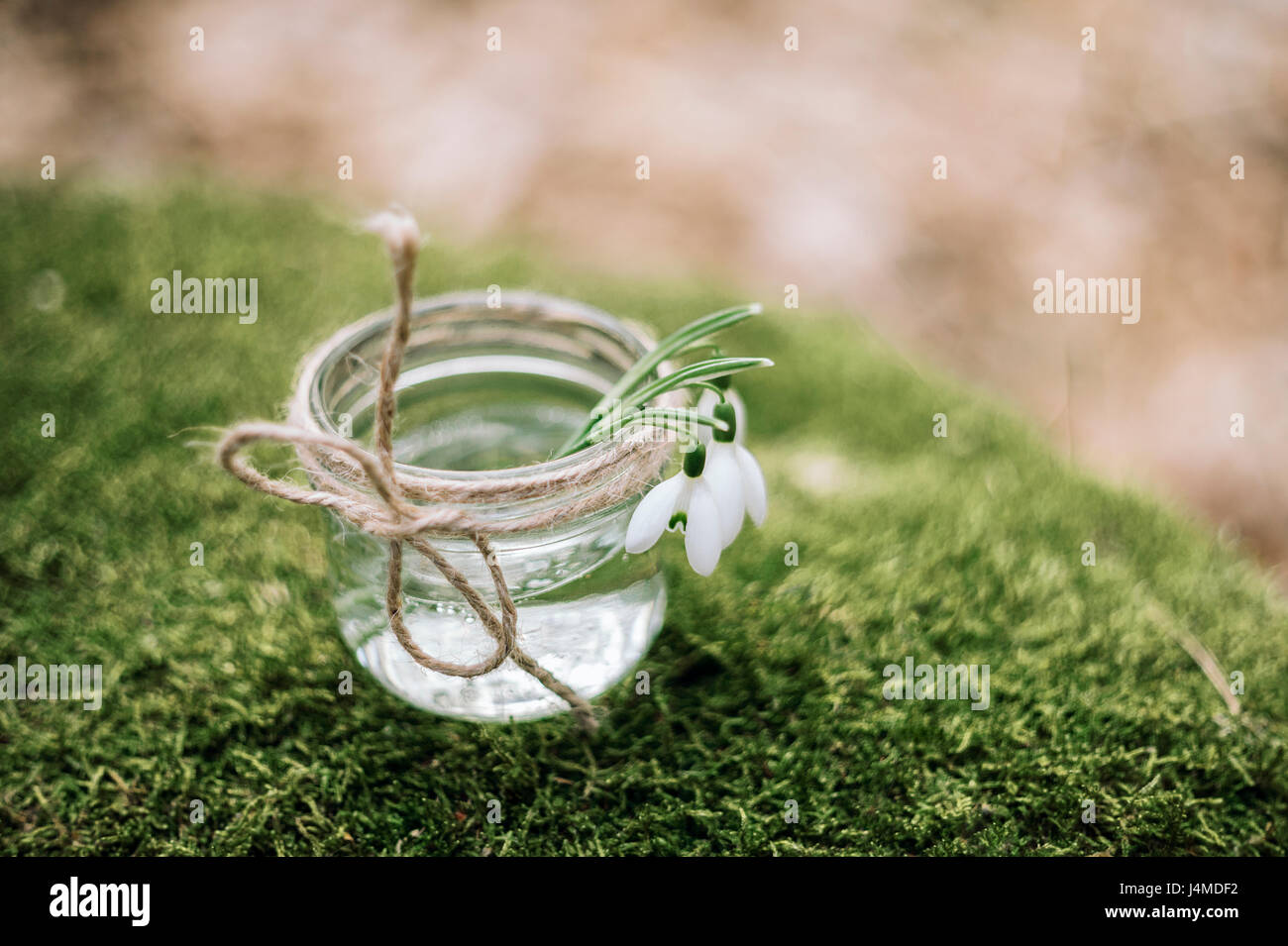 Moss vessel hi-res stock photography and images - Alamy