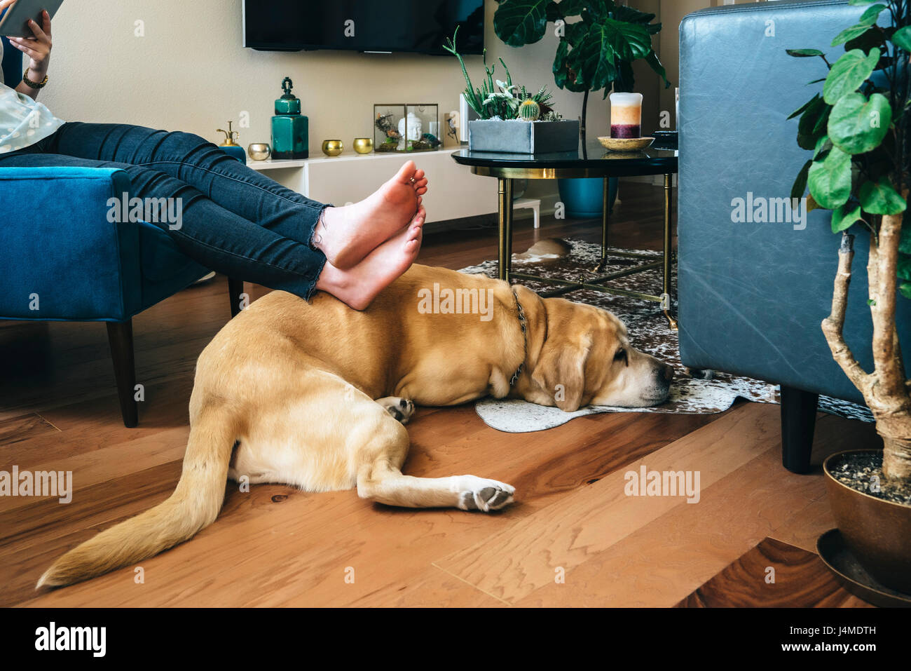 Woman resting female companion hi-res stock photography and images - Alamy