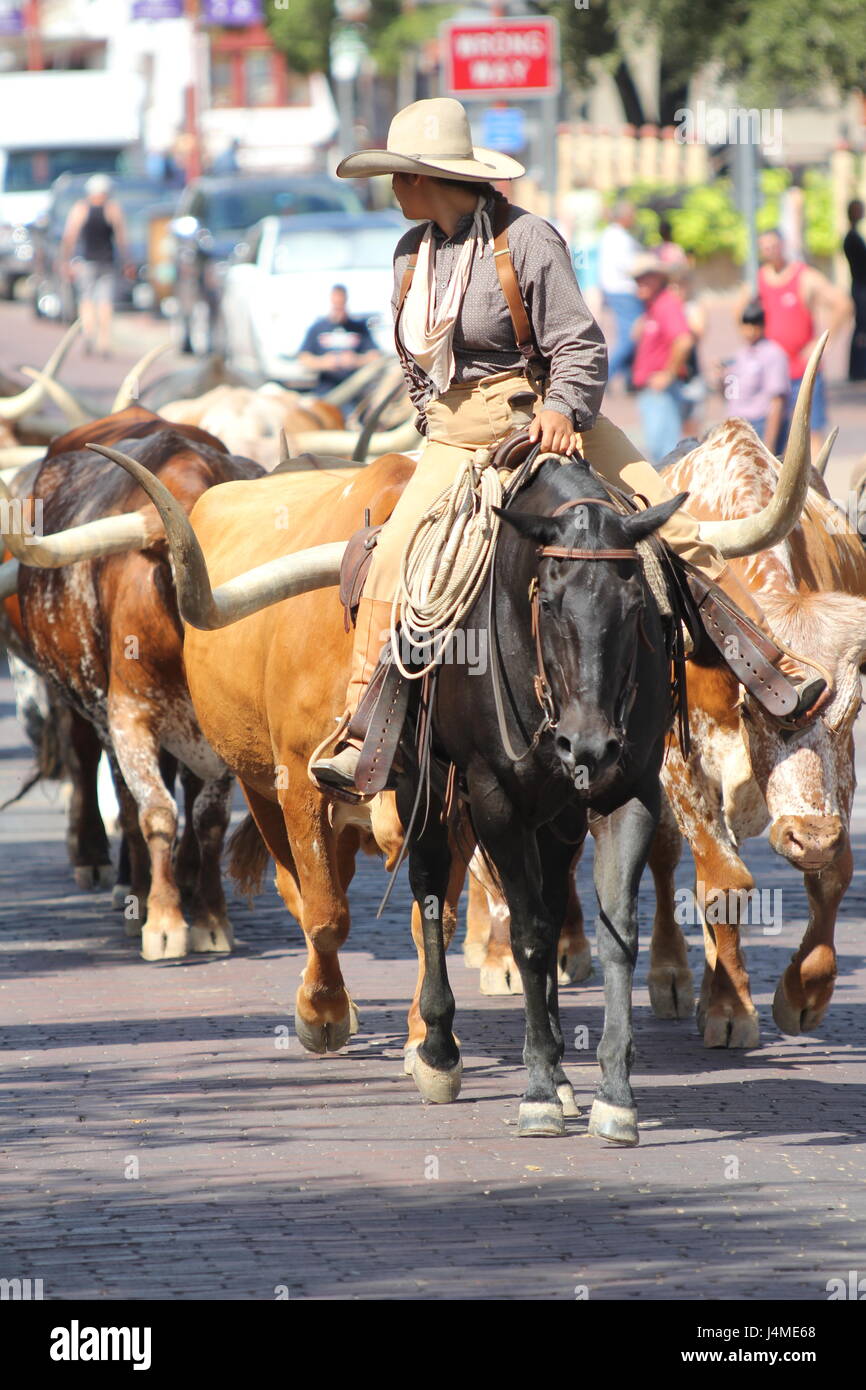 Texas cowboy lasso hi-res stock photography and images - Alamy