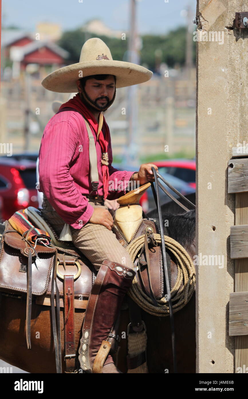 Ft Worth Texas Stock Yards Cowboy Cattle Stock Photo - Alamy