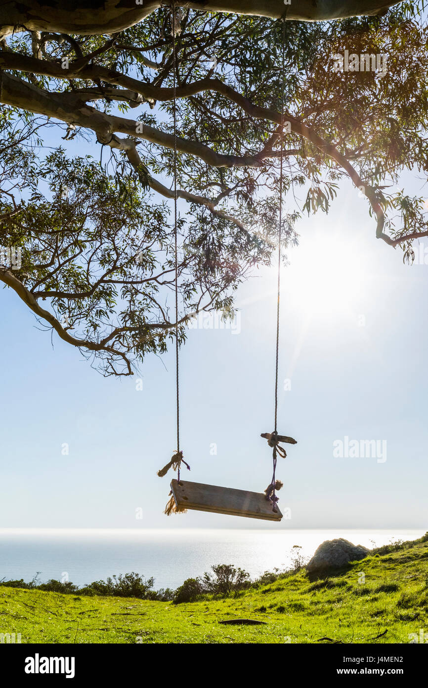Tree swing near ocean Stock Photo - Alamy