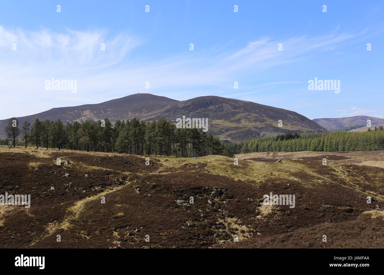 Mount Blair Glen Isla Scotland May 2017 Stock Photo - Alamy