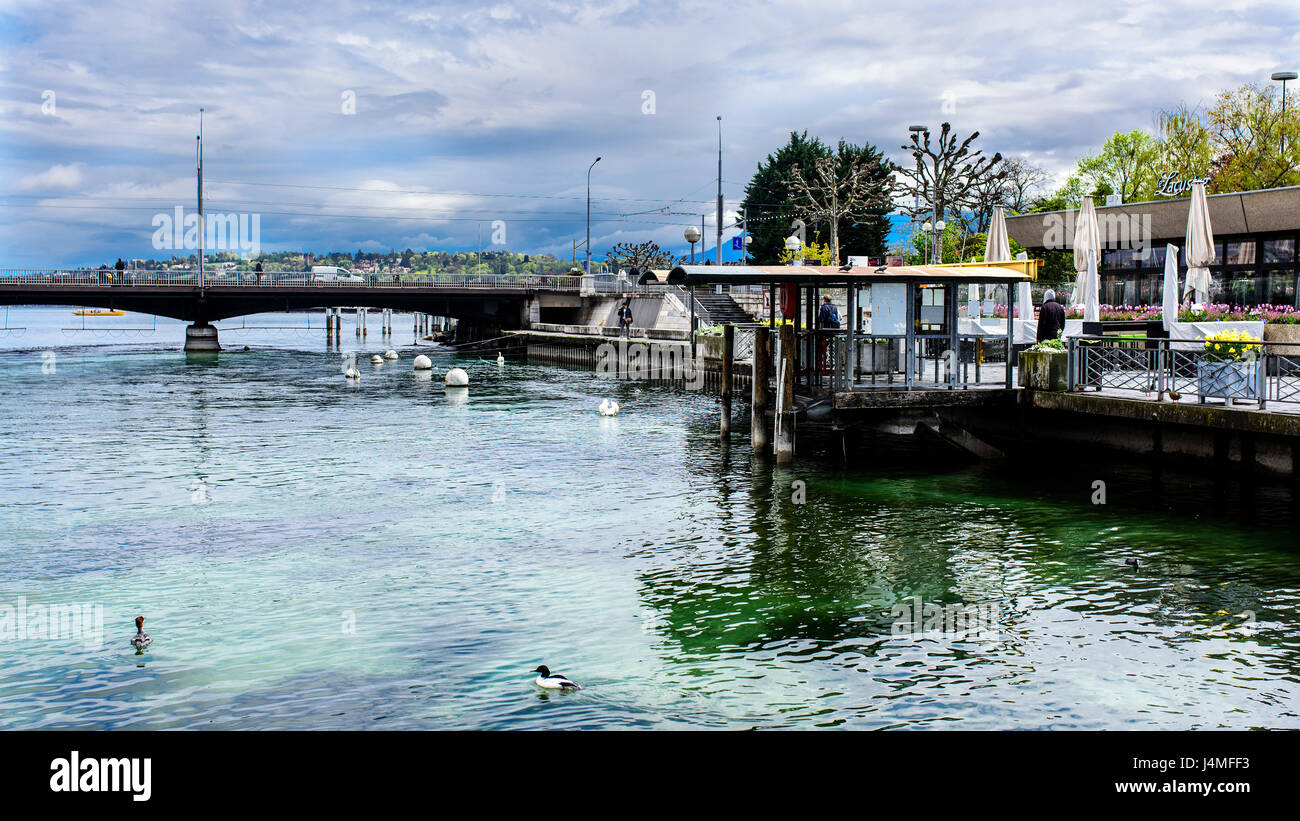 Views of leman lake in Geneva, Switzerland Stock Photo - Alamy