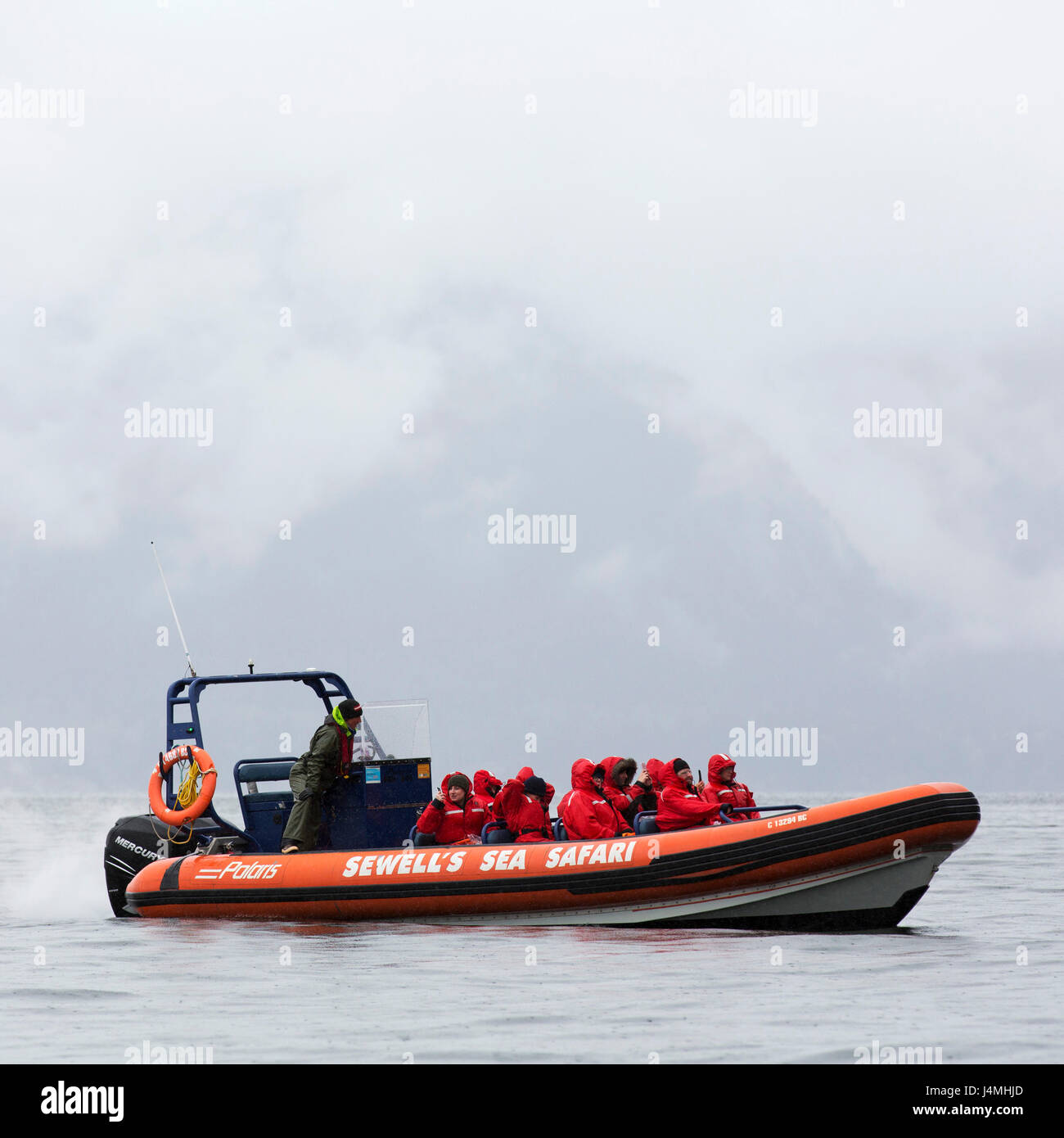Zodiac vessel 60 photos - Youhoroscope.com