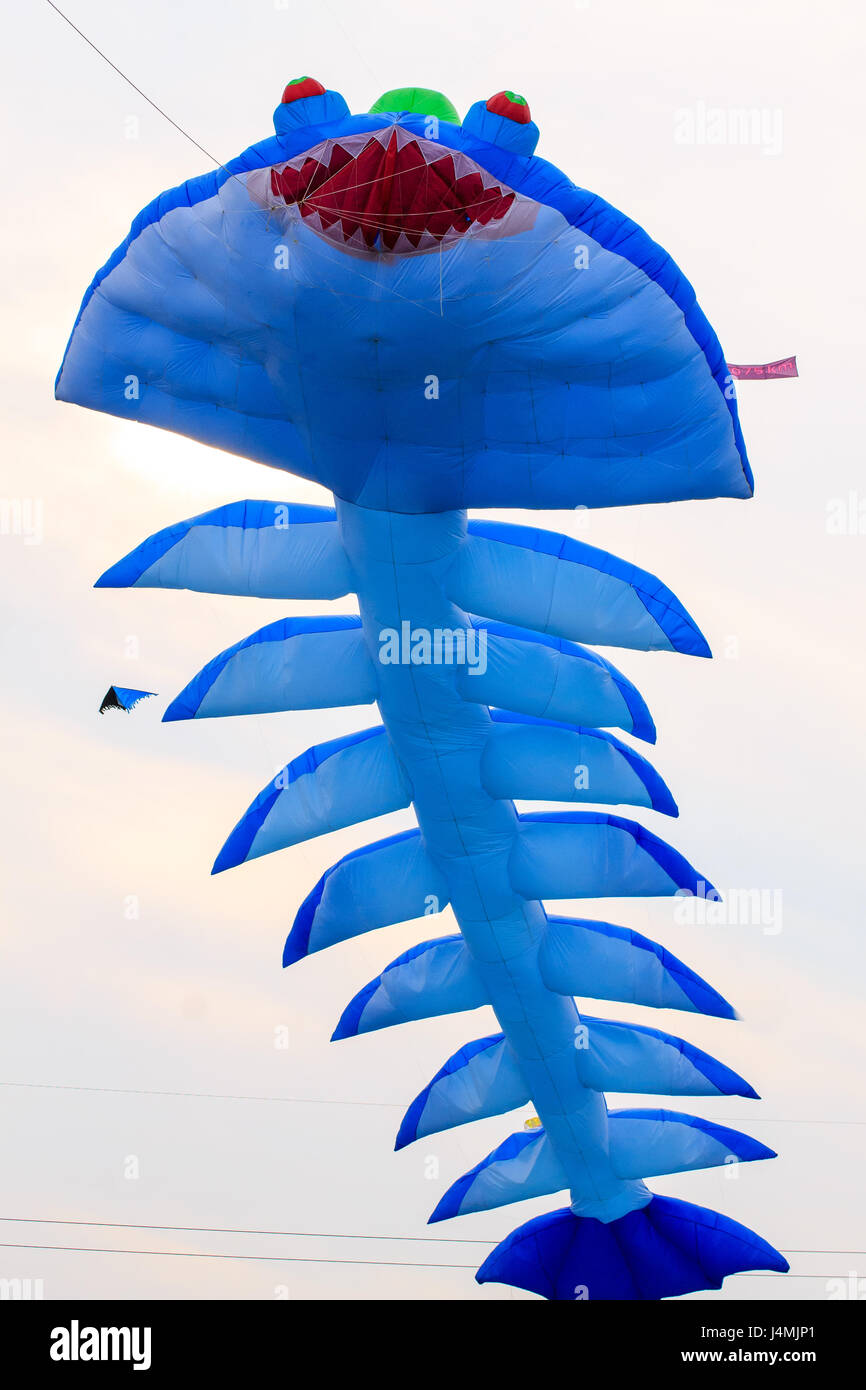 Blue kite that is flying. Blue fish kite Stock Photo - Alamy