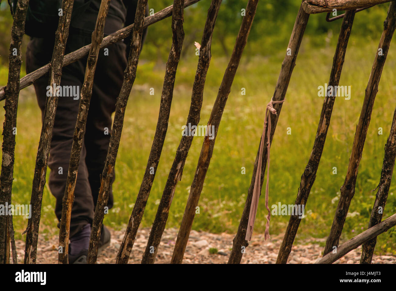 Walking towards nature Stock Photo - Alamy
